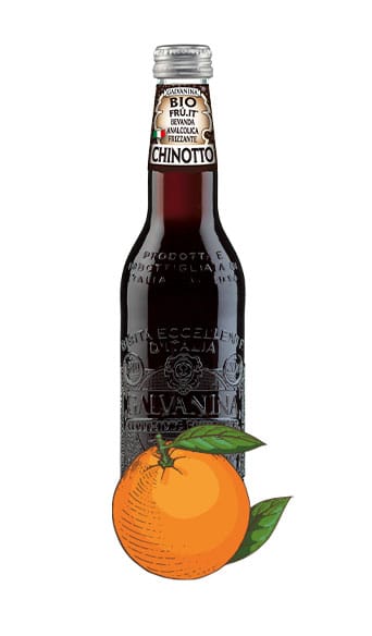 Italian soft drinks made with organic ingredients | Galvanina