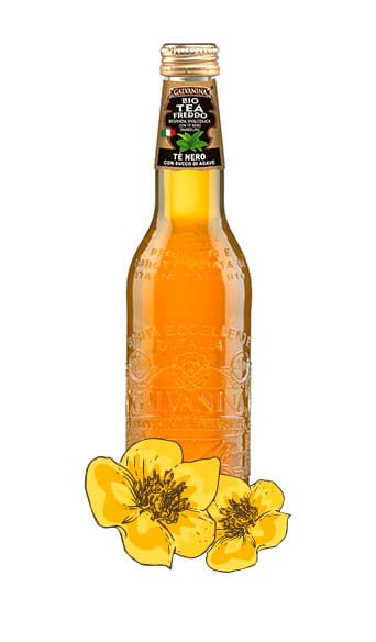 Italian iced teas made with organic ingredients | Galvanina