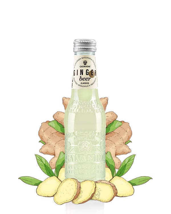 Organic Ginger Beer 200ml | Galvanina