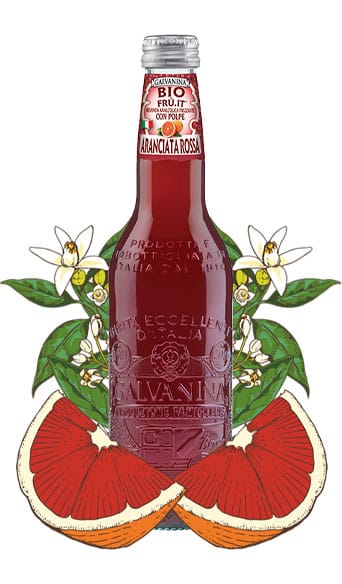 Bibite biologiche italiane Galvanina: le bevande con i migliori ingredienti