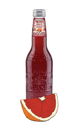 Bibite biologiche italiane Galvanina: le bevande con i migliori ingredienti