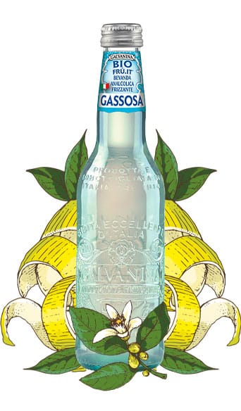 Bibite biologiche italiane Galvanina: le bevande con i migliori ingredienti