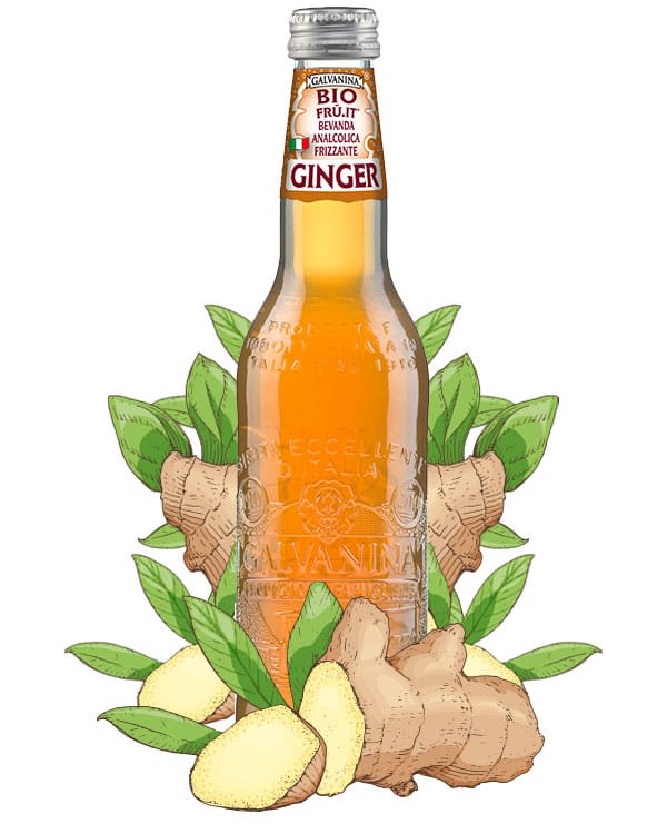 Ginger Biologico Galvanina