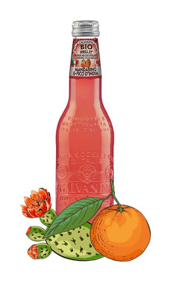 Bibite biologiche italiane Galvanina: le bevande con i migliori ingredienti