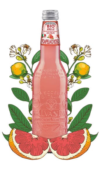 Bibite biologiche italiane Galvanina: le bevande con i migliori ingredienti